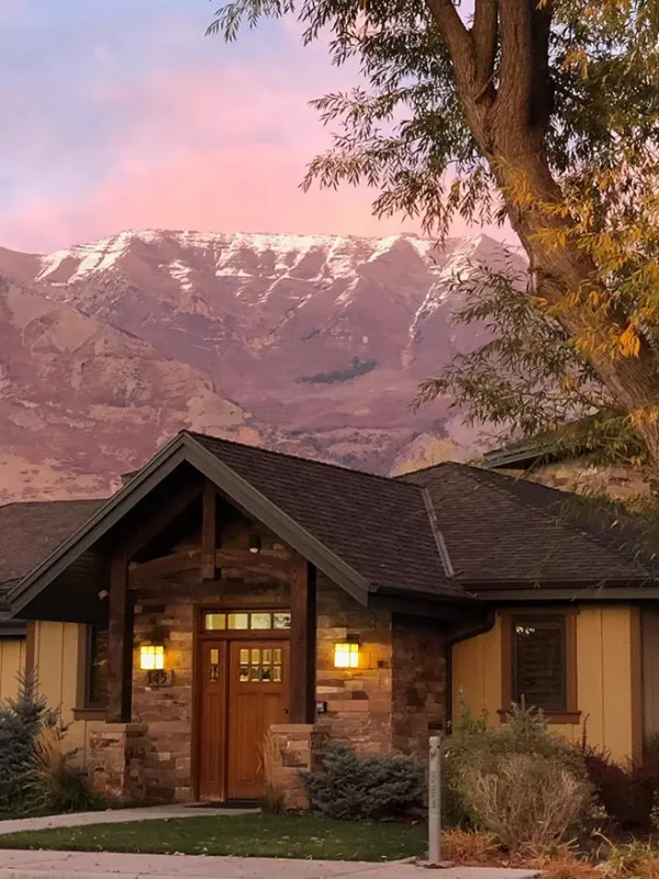 Gallery – Willow Tree Recovery